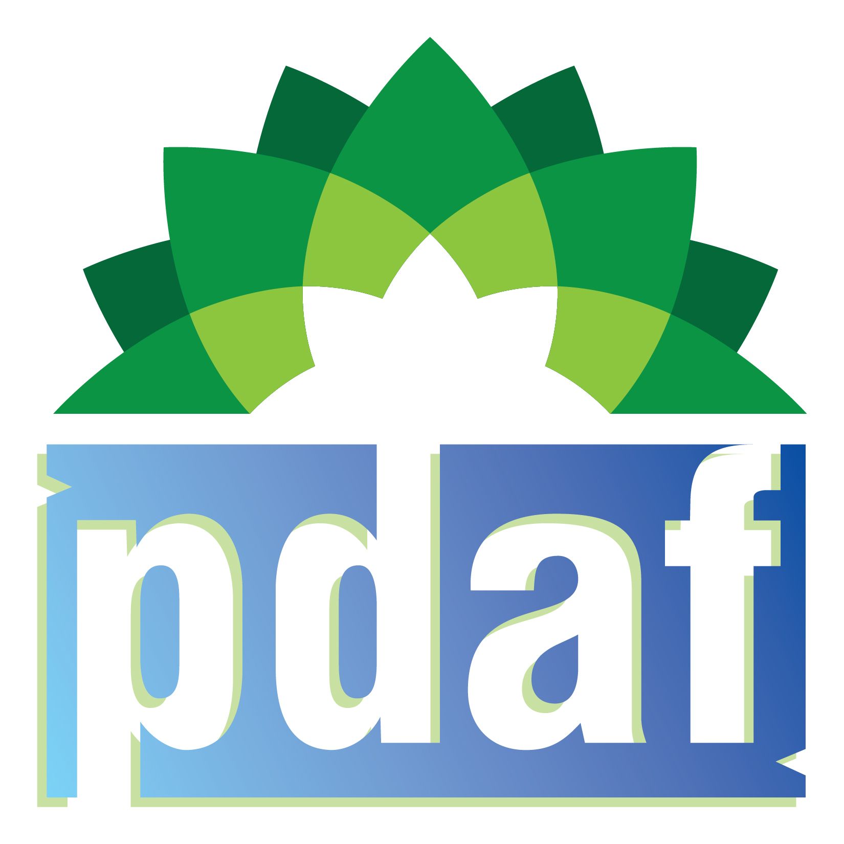 Program Development Assistance Fund (PDAF)